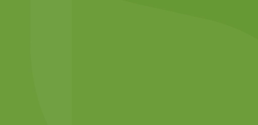 About Open Approach | Custom IT Solutions That Work